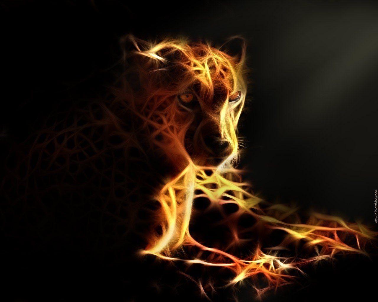 Cool Cheetah Wallpapers - Top Free Cool Cheetah Backgrounds ...