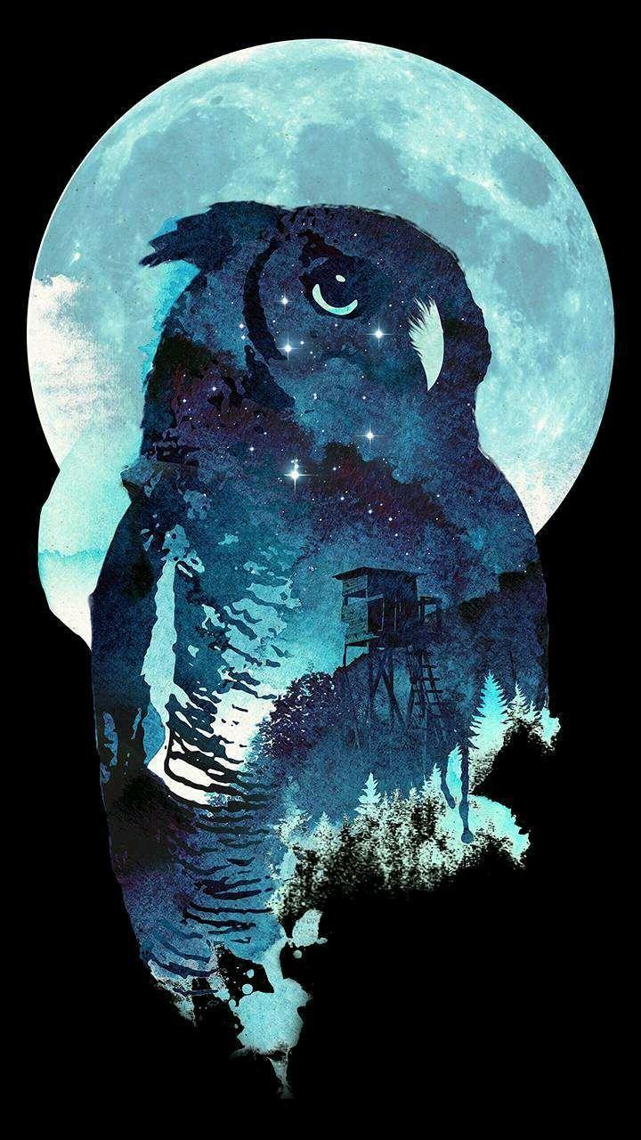 Blue Owl Wallpapers - Top Free Blue Owl Backgrounds - WallpaperAccess