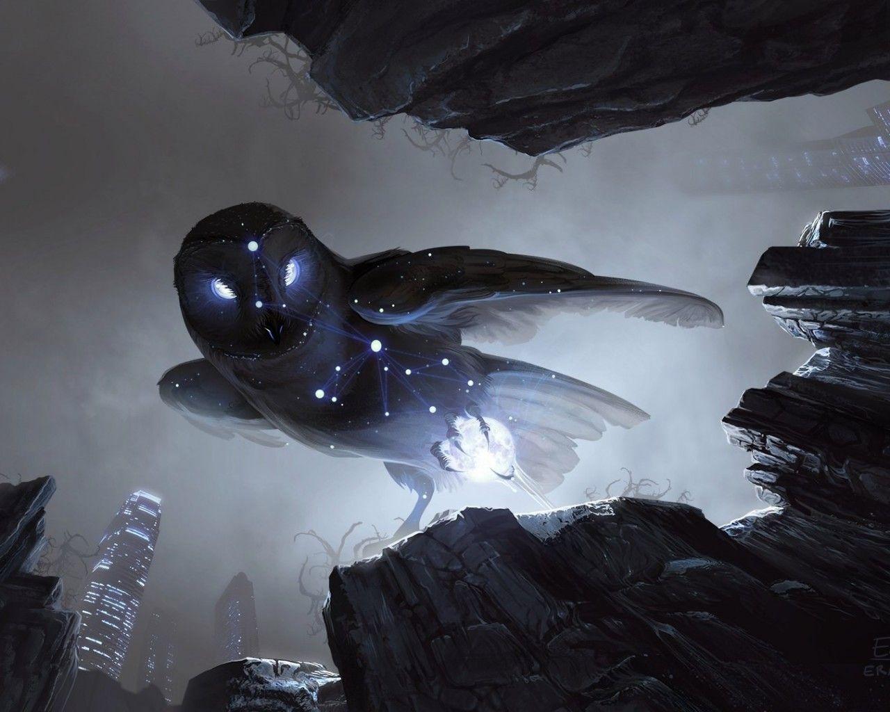 Blue Owl Wallpapers - Top Free Blue Owl Backgrounds - WallpaperAccess