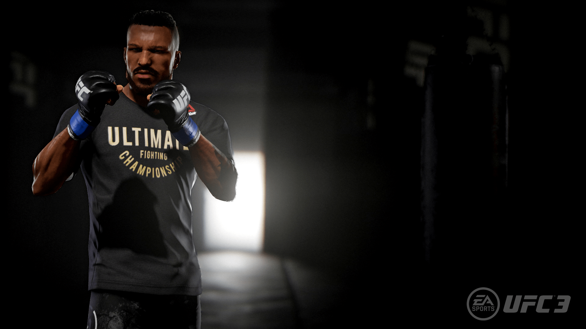 EA Sports UFC 3 Wallpapers - Top Free EA Sports UFC 3 Backgrounds ...