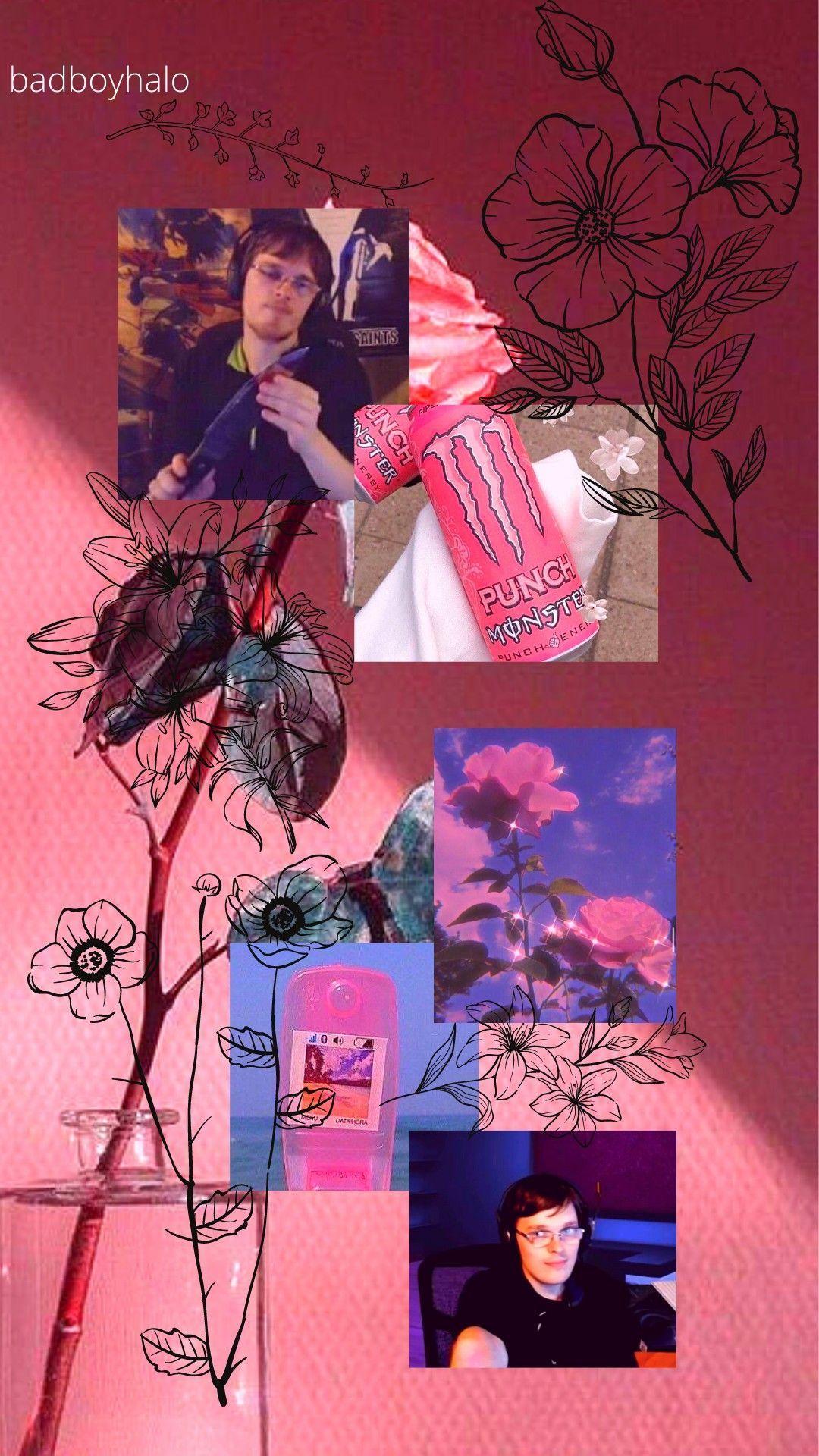 Skeppy Wallpapers - Top Free Skeppy Backgrounds - WallpaperAccess