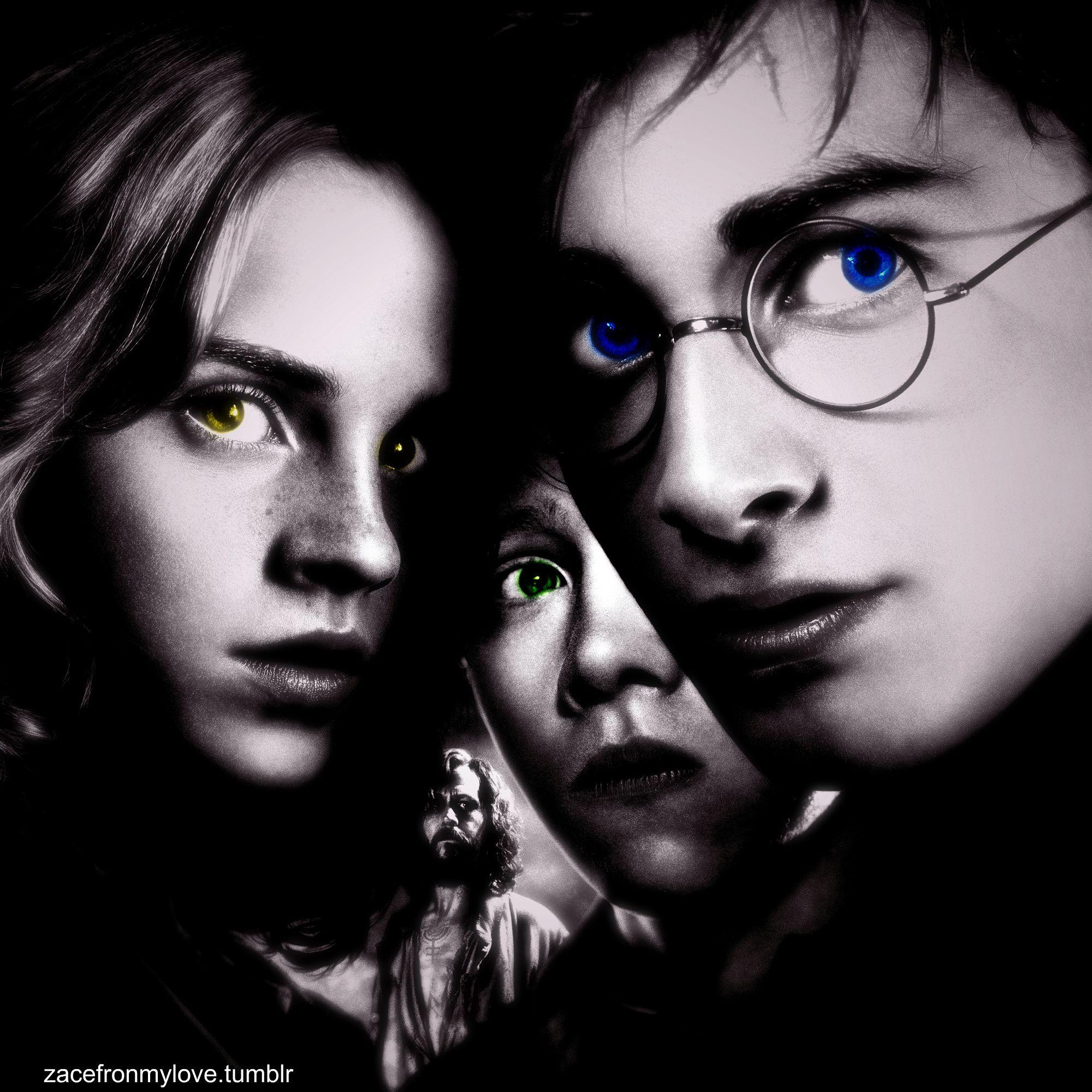 Golden Trio Wallpapers - Top Free Golden Trio Backgrounds - WallpaperAccess