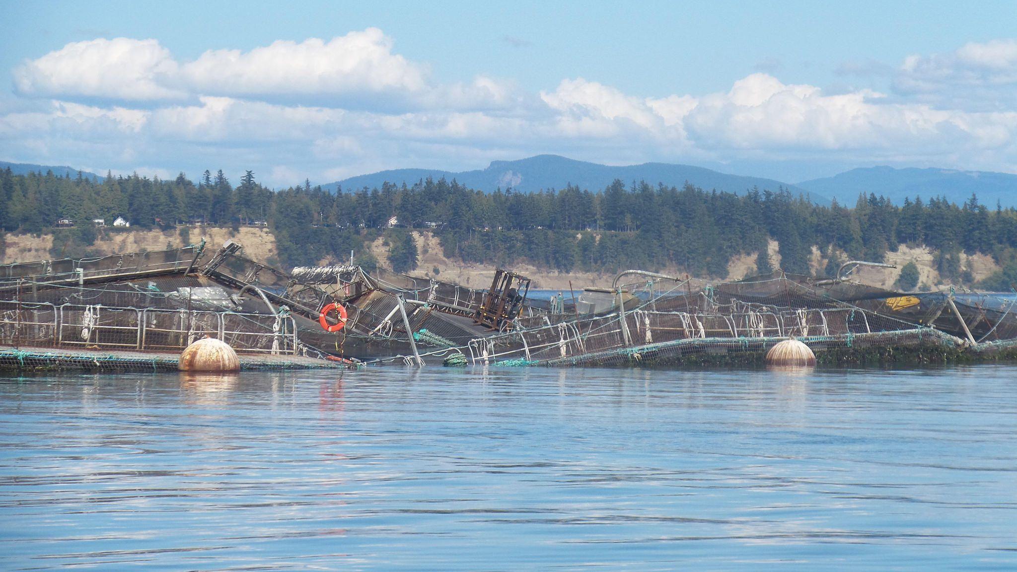 Puget Sound Wallpapers - Top Free Puget Sound Backgrounds - WallpaperAccess