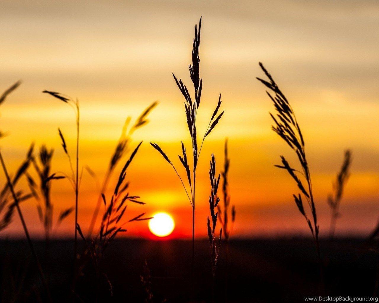 Nature Sunset Wallpapers - Top Free Nature Sunset Backgrounds ...