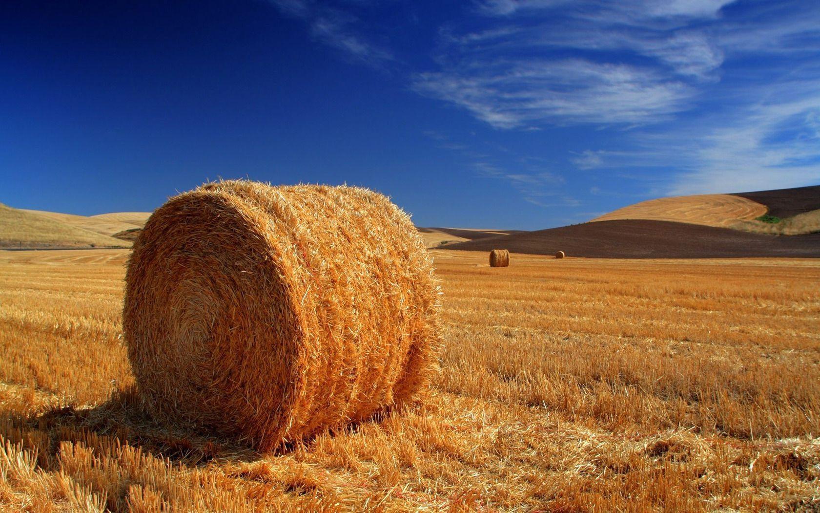Hay Field Wallpapers - Top Free Hay Field Backgrounds - WallpaperAccess