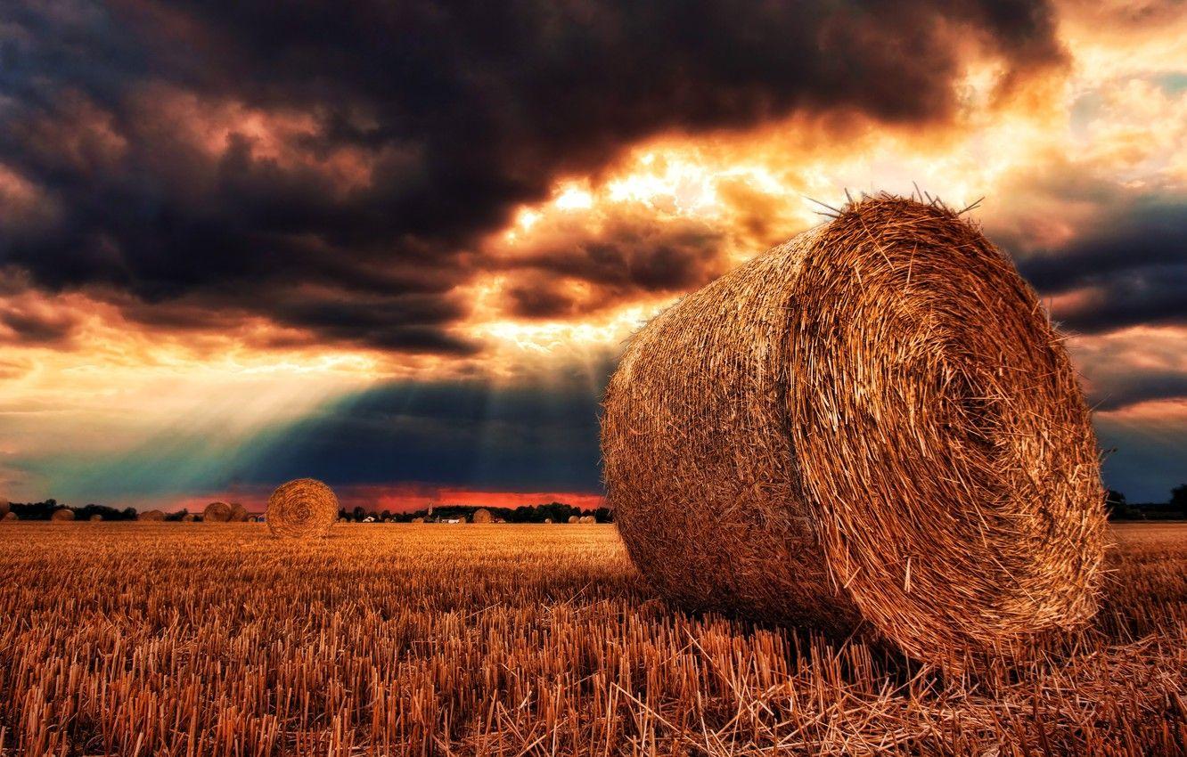 Hay Field Wallpapers - Top Free Hay Field Backgrounds - WallpaperAccess