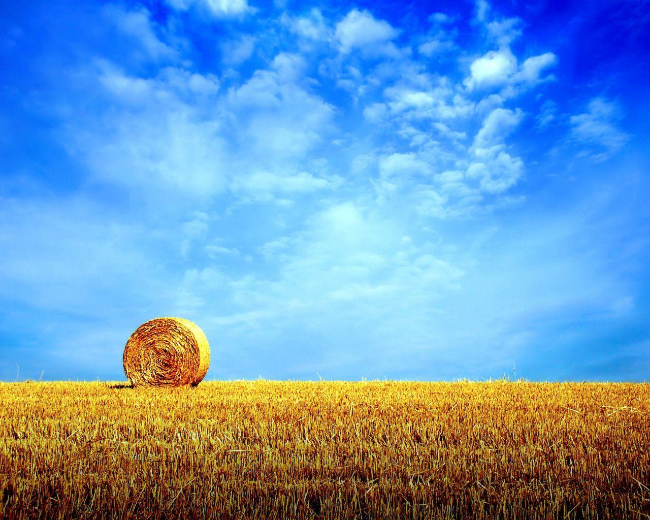 Hay Field Wallpapers - Top Free Hay Field Backgrounds - WallpaperAccess