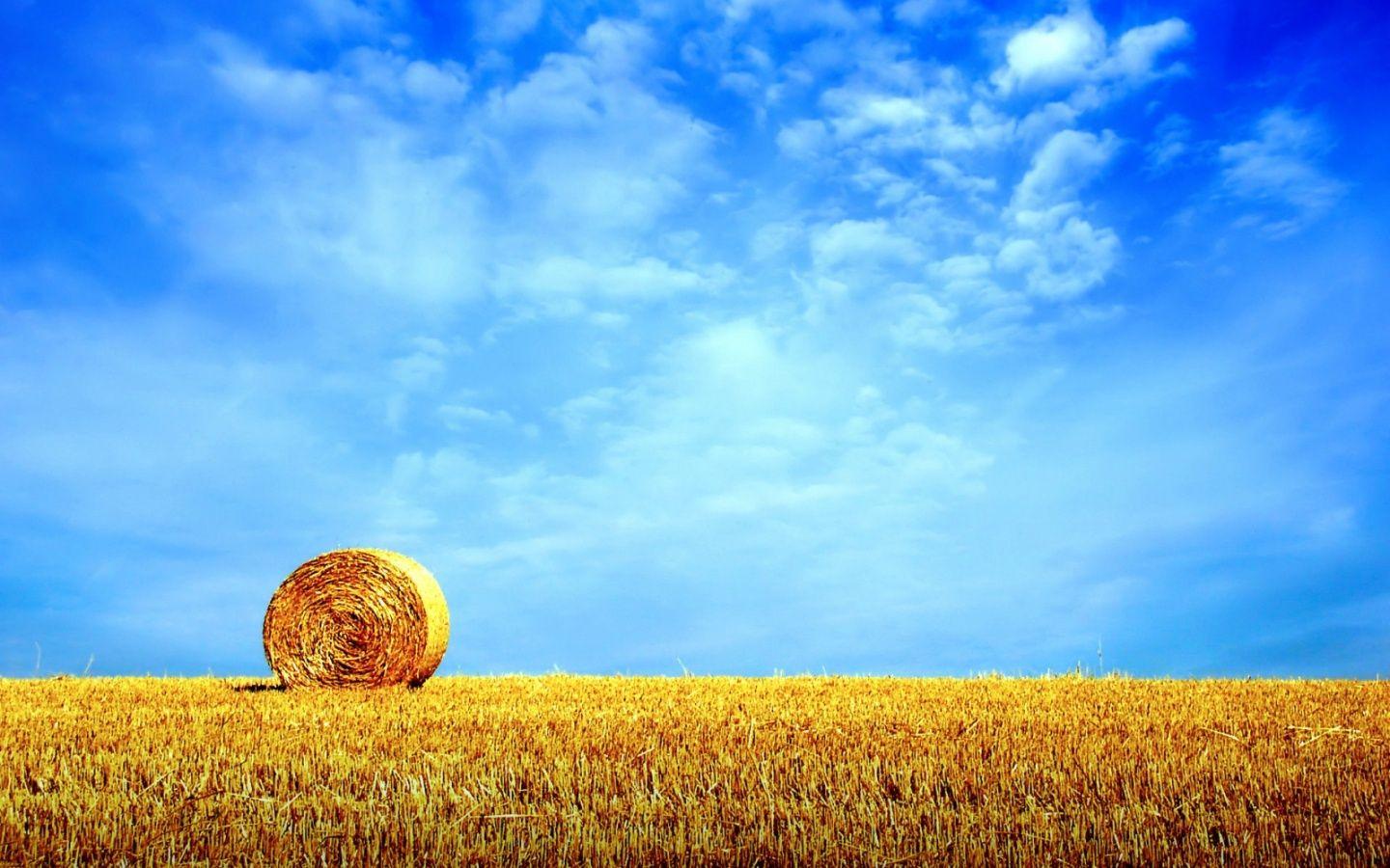 Hay Field Wallpapers - Top Free Hay Field Backgrounds - WallpaperAccess