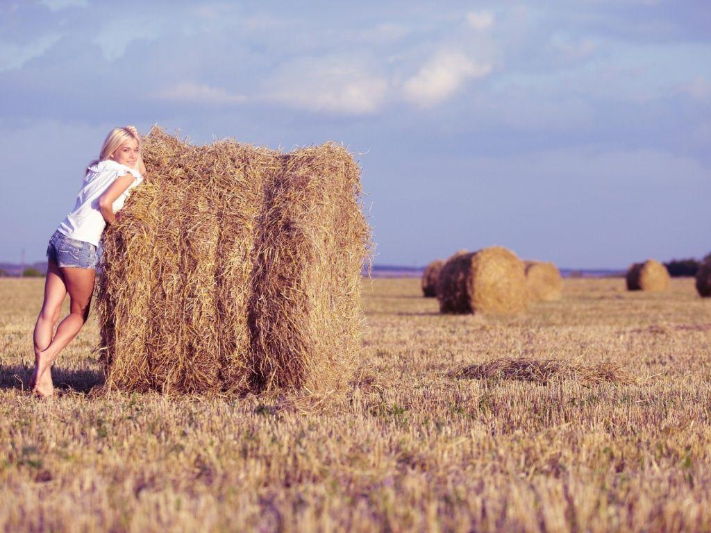 Hay Field Wallpapers - Top Free Hay Field Backgrounds - WallpaperAccess