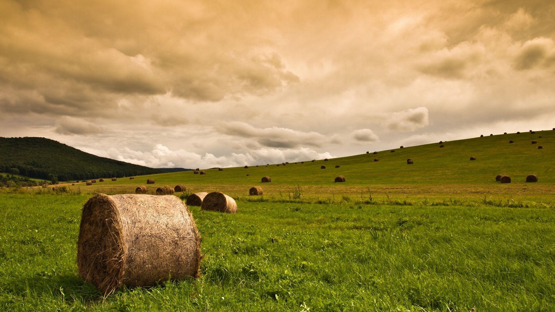 Hay Field Wallpapers - Top Free Hay Field Backgrounds - WallpaperAccess