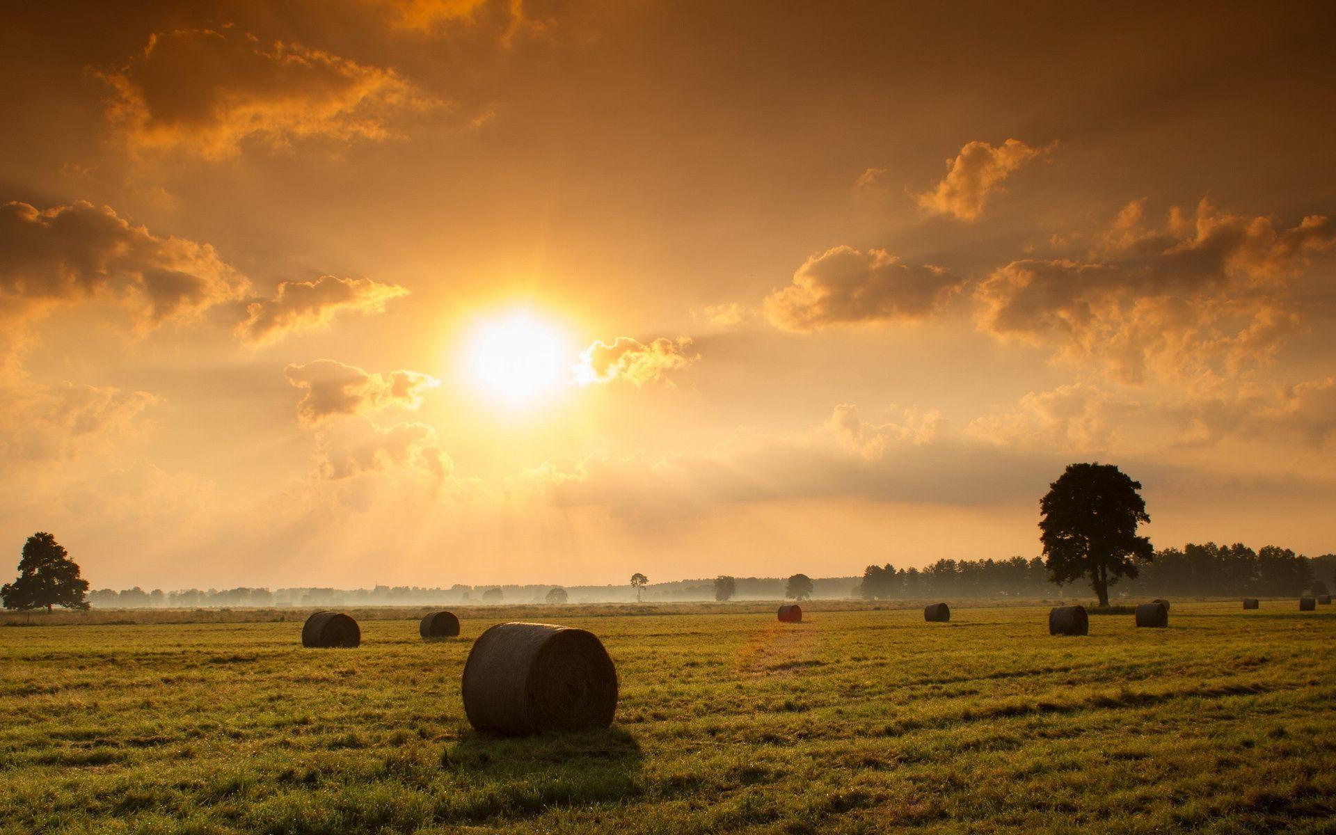 Hay Field Wallpapers - Top Free Hay Field Backgrounds - WallpaperAccess