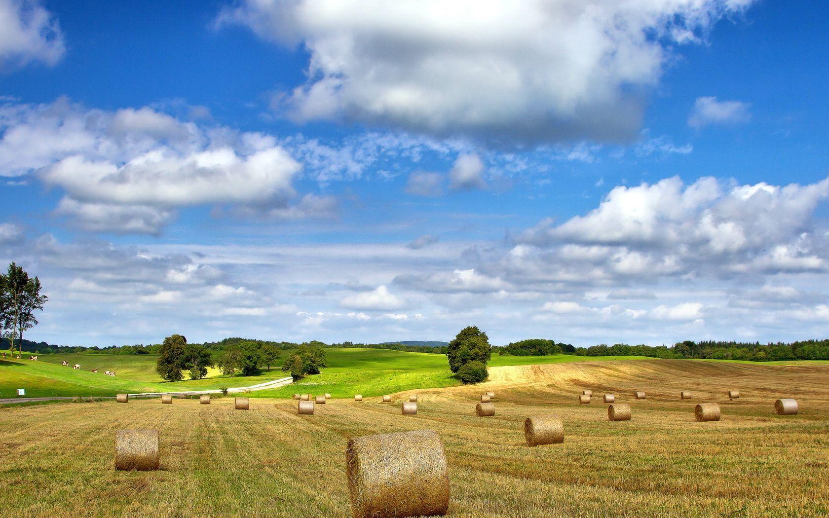 Hay Field Wallpapers - Top Free Hay Field Backgrounds - WallpaperAccess