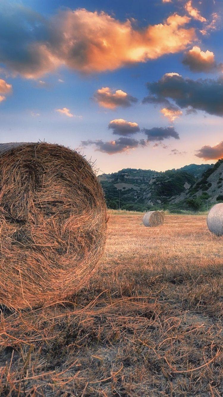 Hay Field Wallpapers - Top Free Hay Field Backgrounds - WallpaperAccess