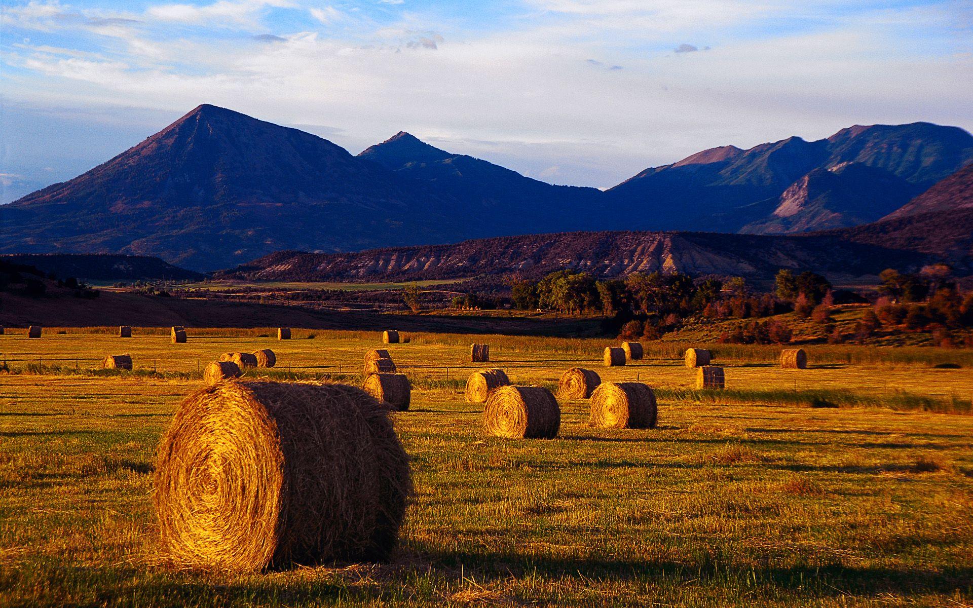 Hay Field Wallpapers - Top Free Hay Field Backgrounds - WallpaperAccess