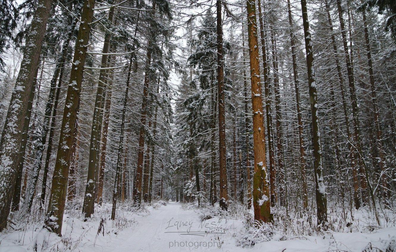 Moscow Snow Wallpapers - Top Free Moscow Snow Backgrounds - WallpaperAccess