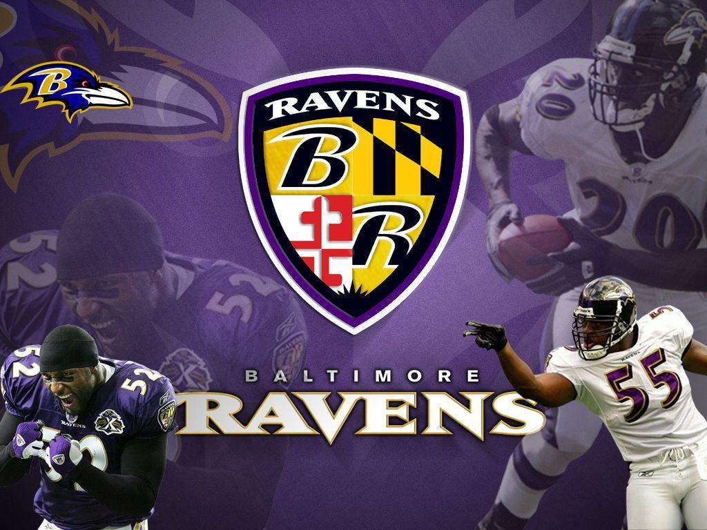 Ed Reed Wallpapers - Top Free Ed Reed Backgrounds - WallpaperAccess