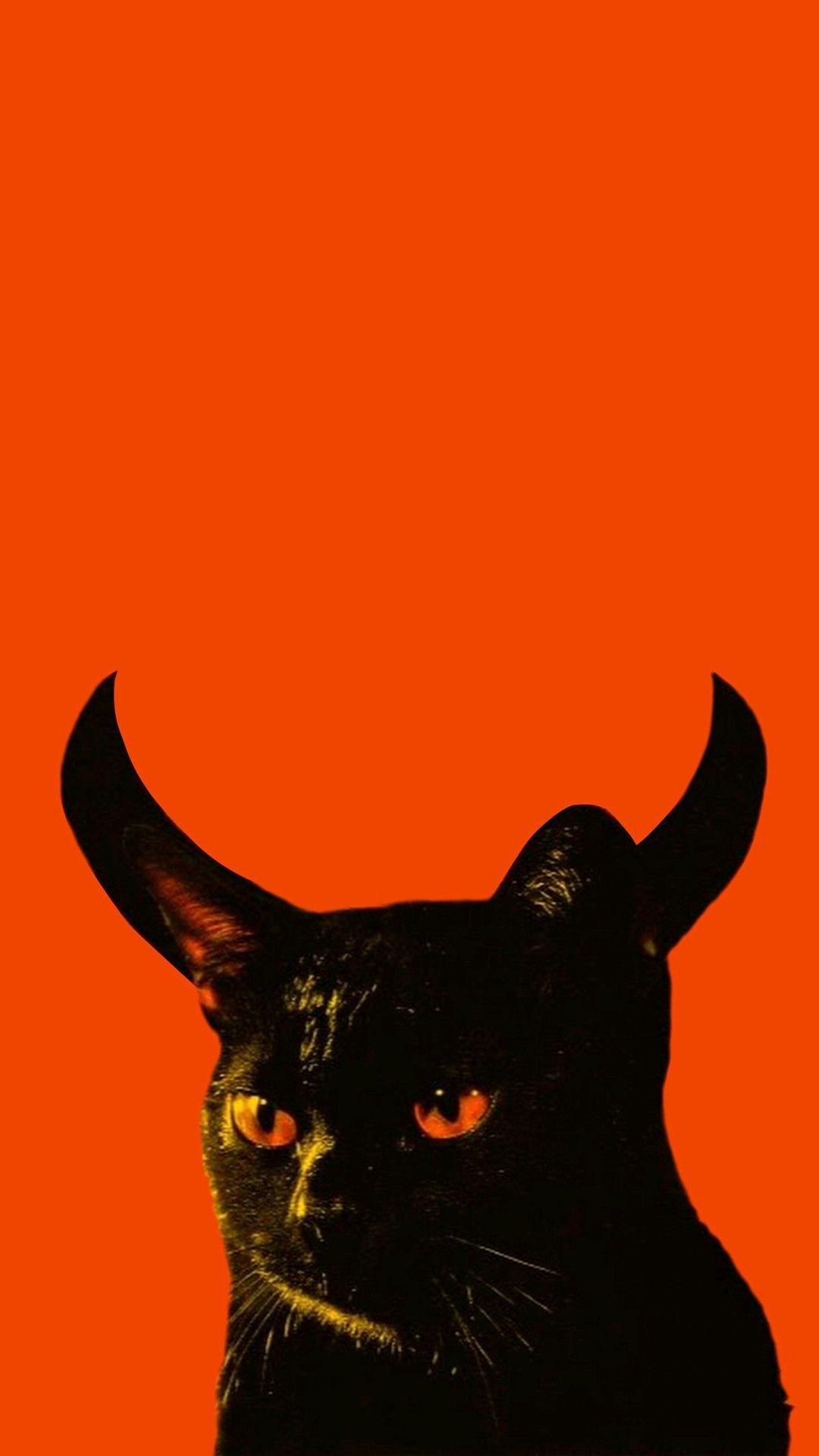 Devil Cat Wallpapers - Top Free Devil Cat Backgrounds - WallpaperAccess