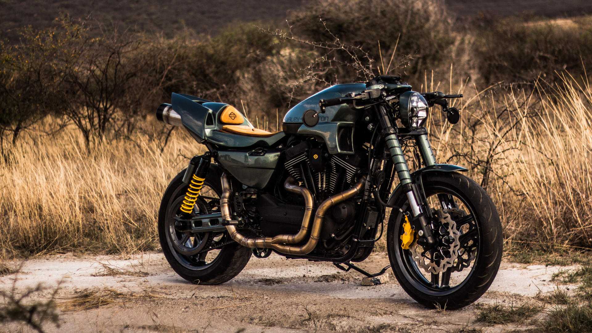 Apex Predator Wallpapers - Top Free Apex Predator Backgrounds ...