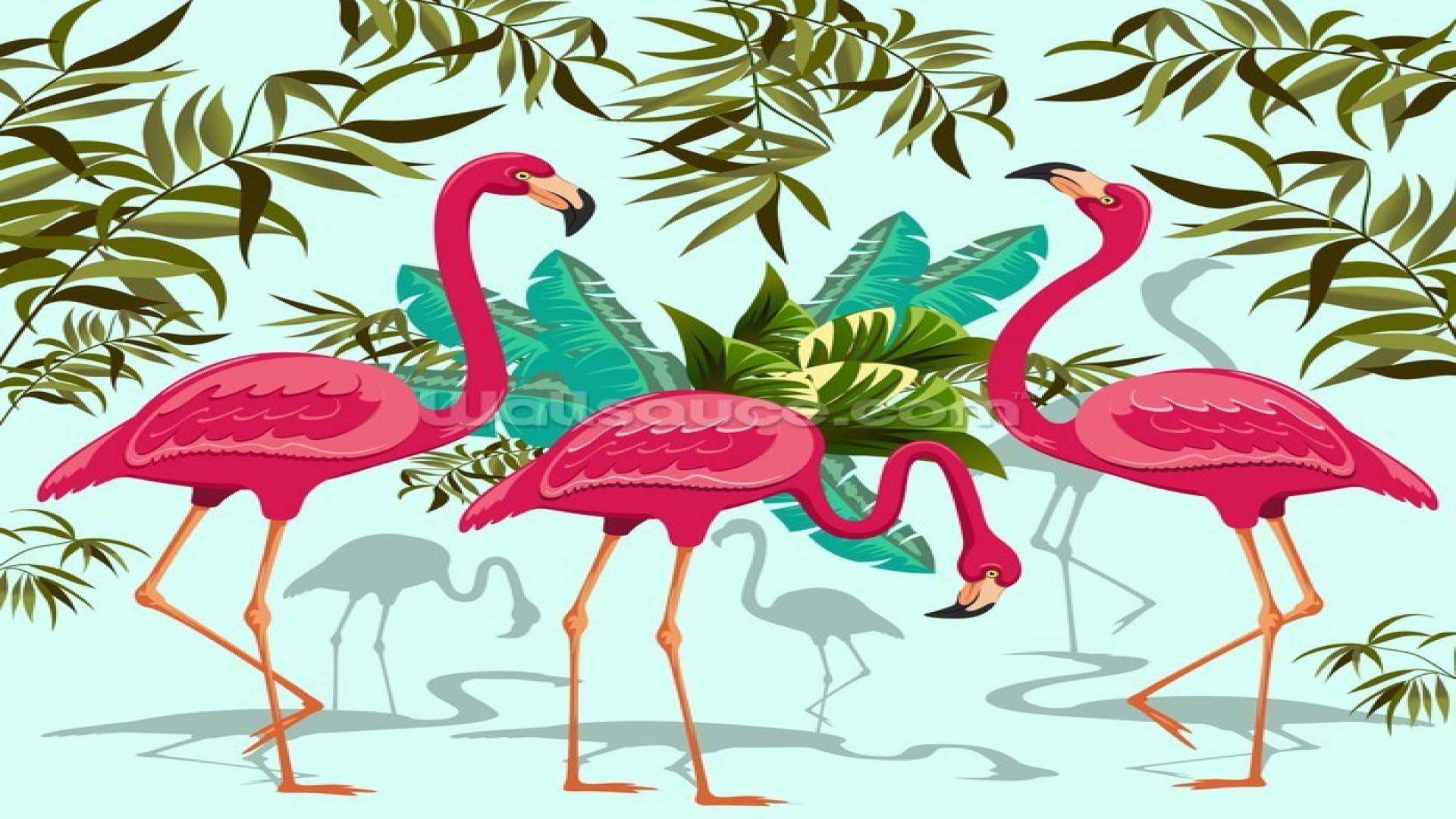 Flamingo Computer Wallpapers - Top Free Flamingo Computer Backgrounds ...