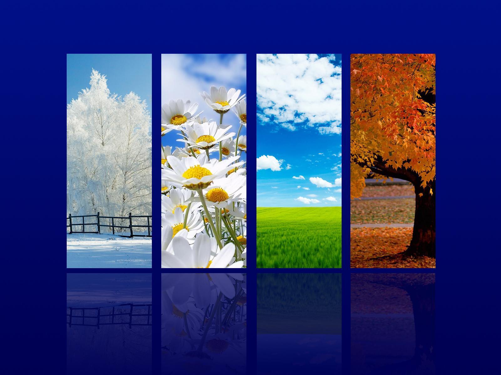 4 Seasons Wallpapers - Top Free 4 Seasons Backgrounds - WallpaperAccess
