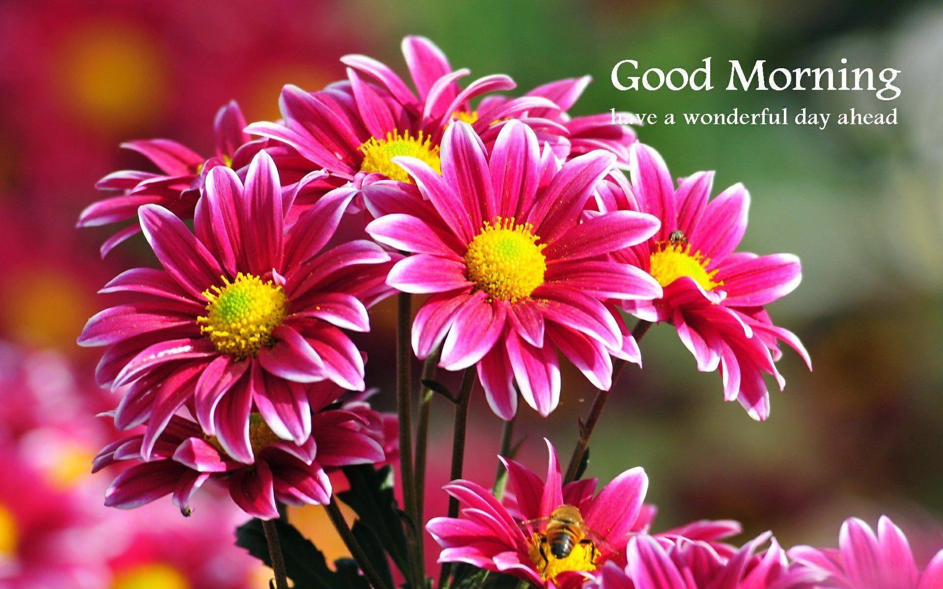 Good Day Wallpapers - Top Free Good Day Backgrounds - WallpaperAccess