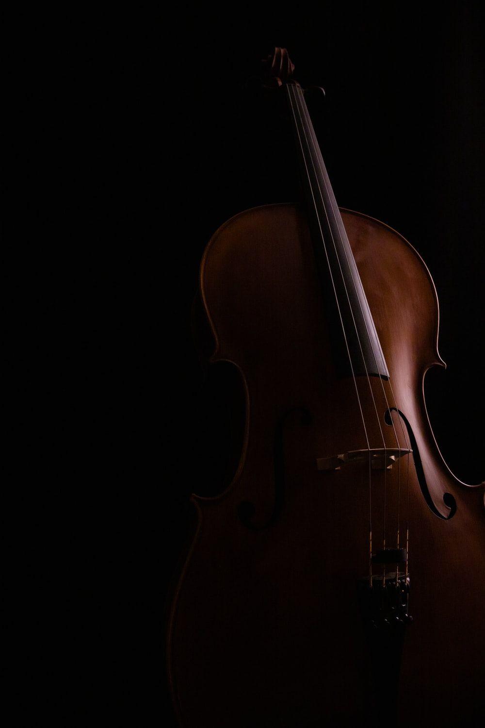 Fiddle Wallpapers - Top Free Fiddle Backgrounds - WallpaperAccess