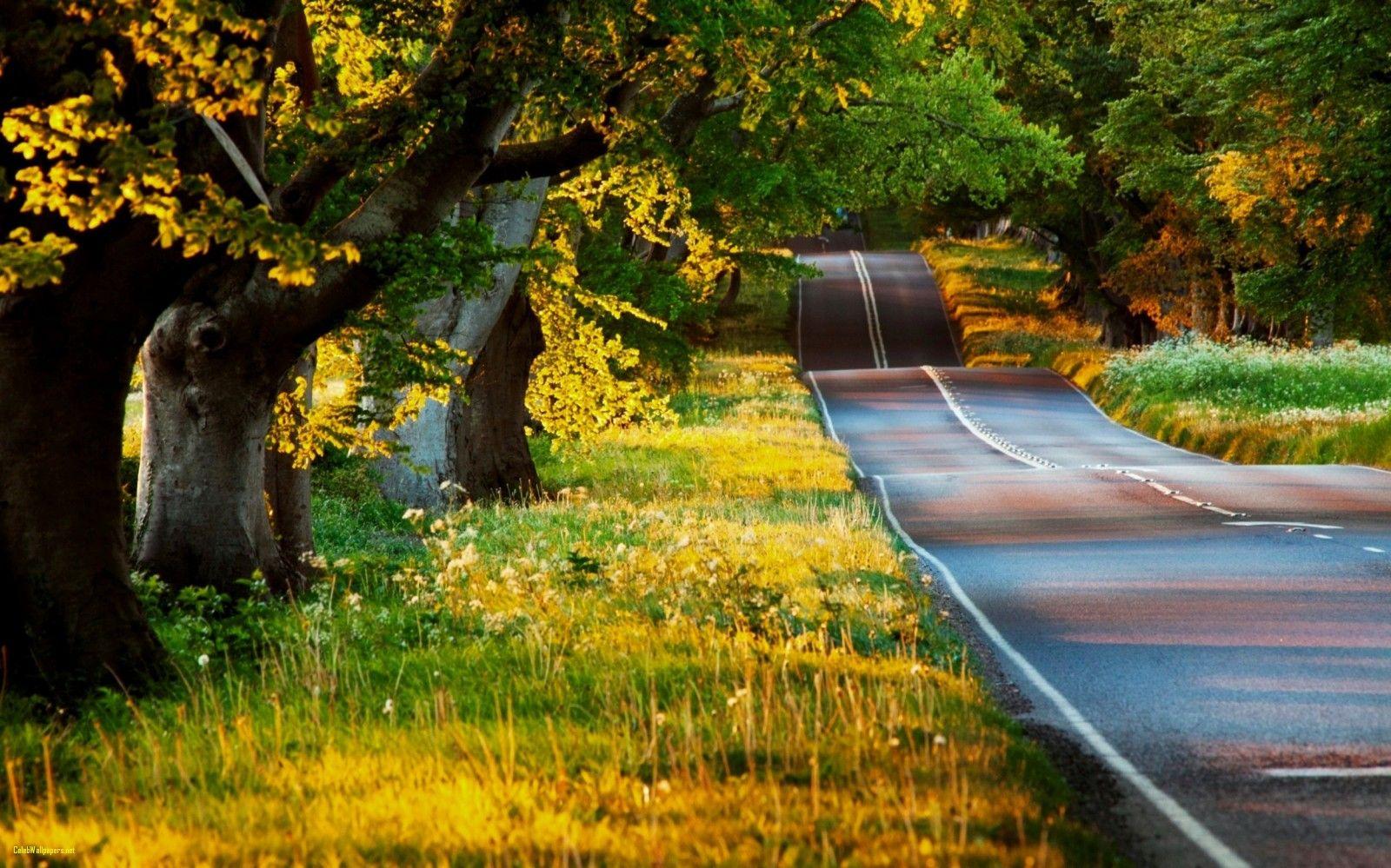 Beautiful Morning Wallpapers - Top Free Beautiful Morning Backgrounds ...