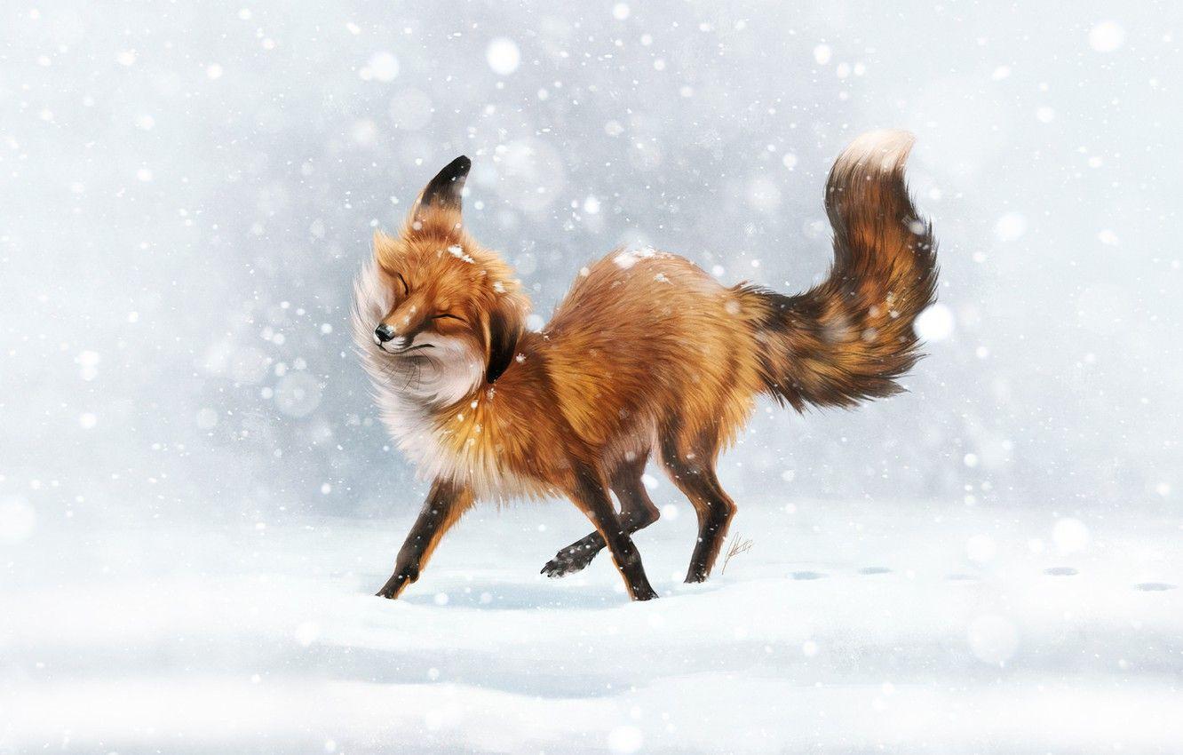 Winter Fox Wallpapers - Top Free Winter Fox Backgrounds - WallpaperAccess