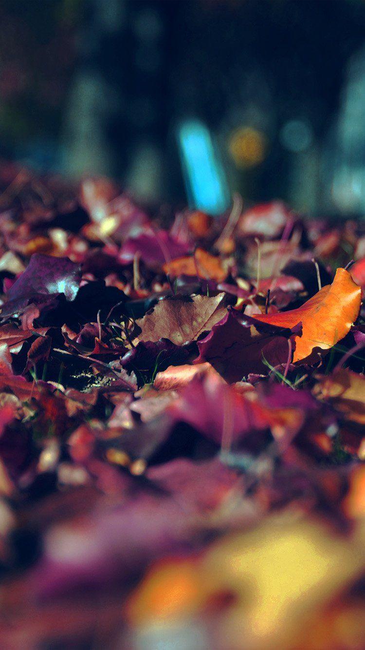 Mountain Autumn iPhone 6 Wallpapers - Top Free Mountain Autumn iPhone 6 ...