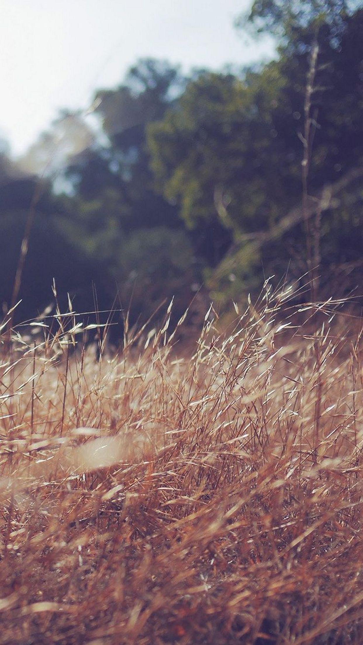 Mountain Autumn iPhone 6 Wallpapers - Top Free Mountain Autumn iPhone 6 ...