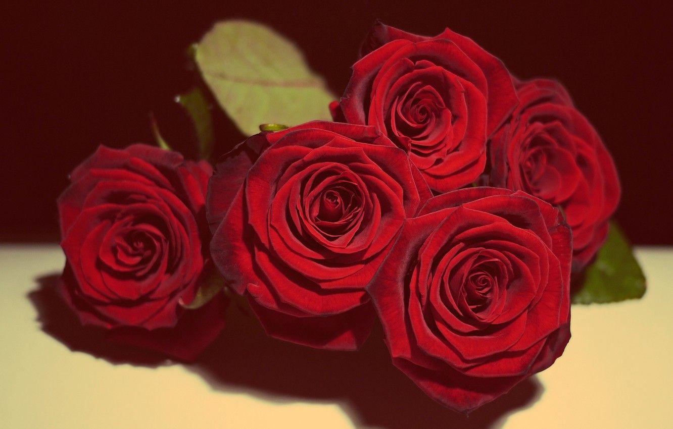 Red Rose Vintage Wallpapers - Top Free Red Rose Vintage Backgrounds ...