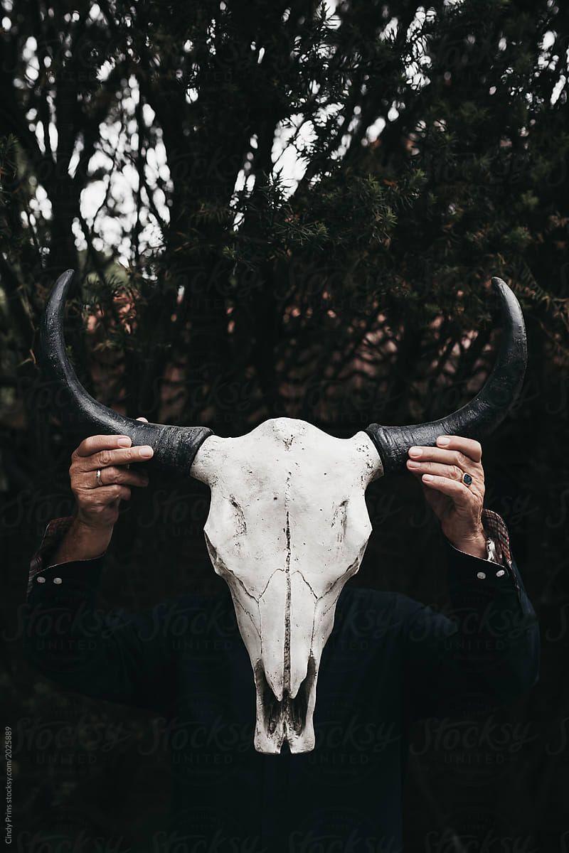 Bull Skull Wallpapers - Top Free Bull Skull Backgrounds - WallpaperAccess