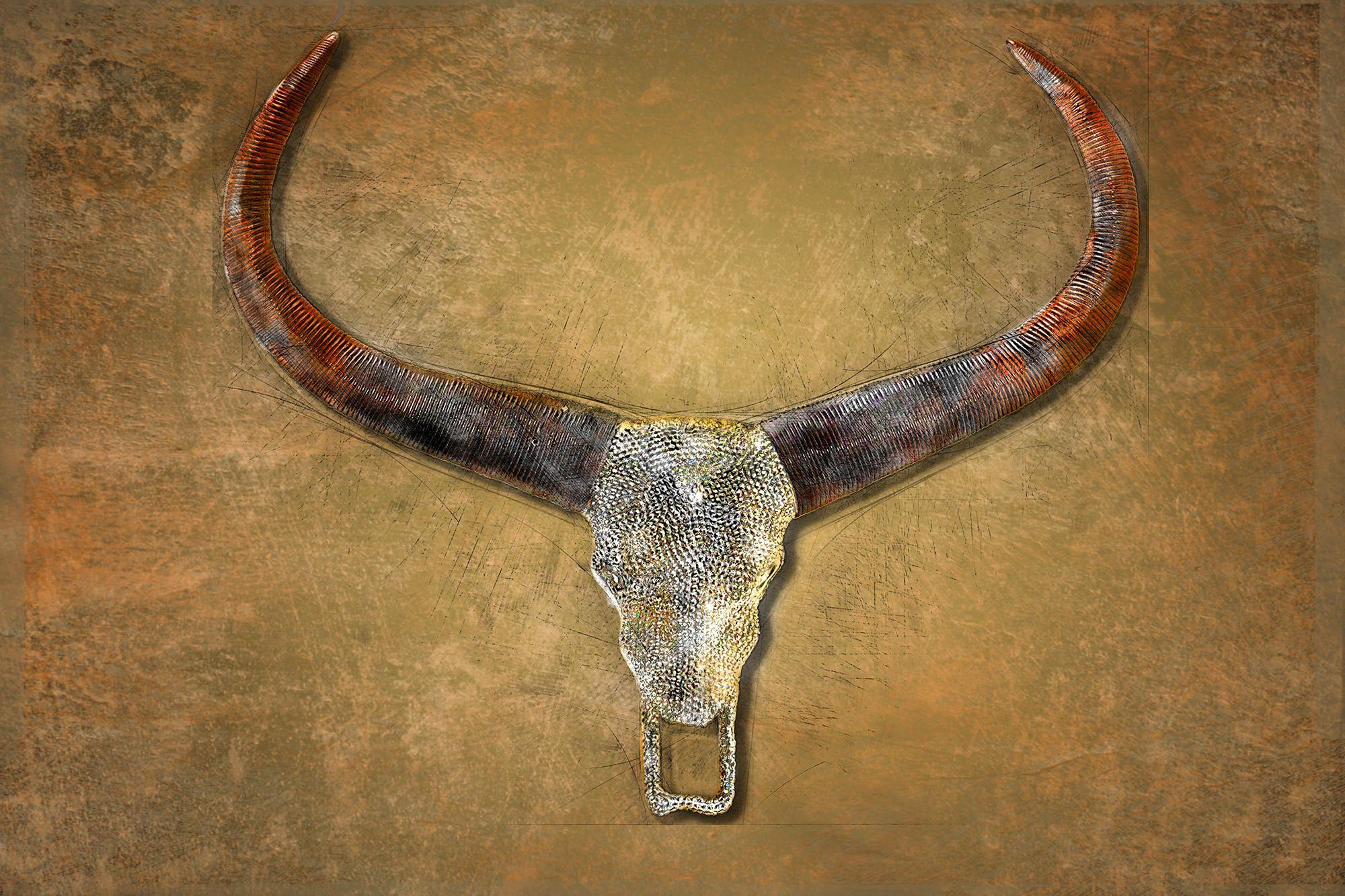 Bull Skull Wallpapers - Top Free Bull Skull Backgrounds - WallpaperAccess