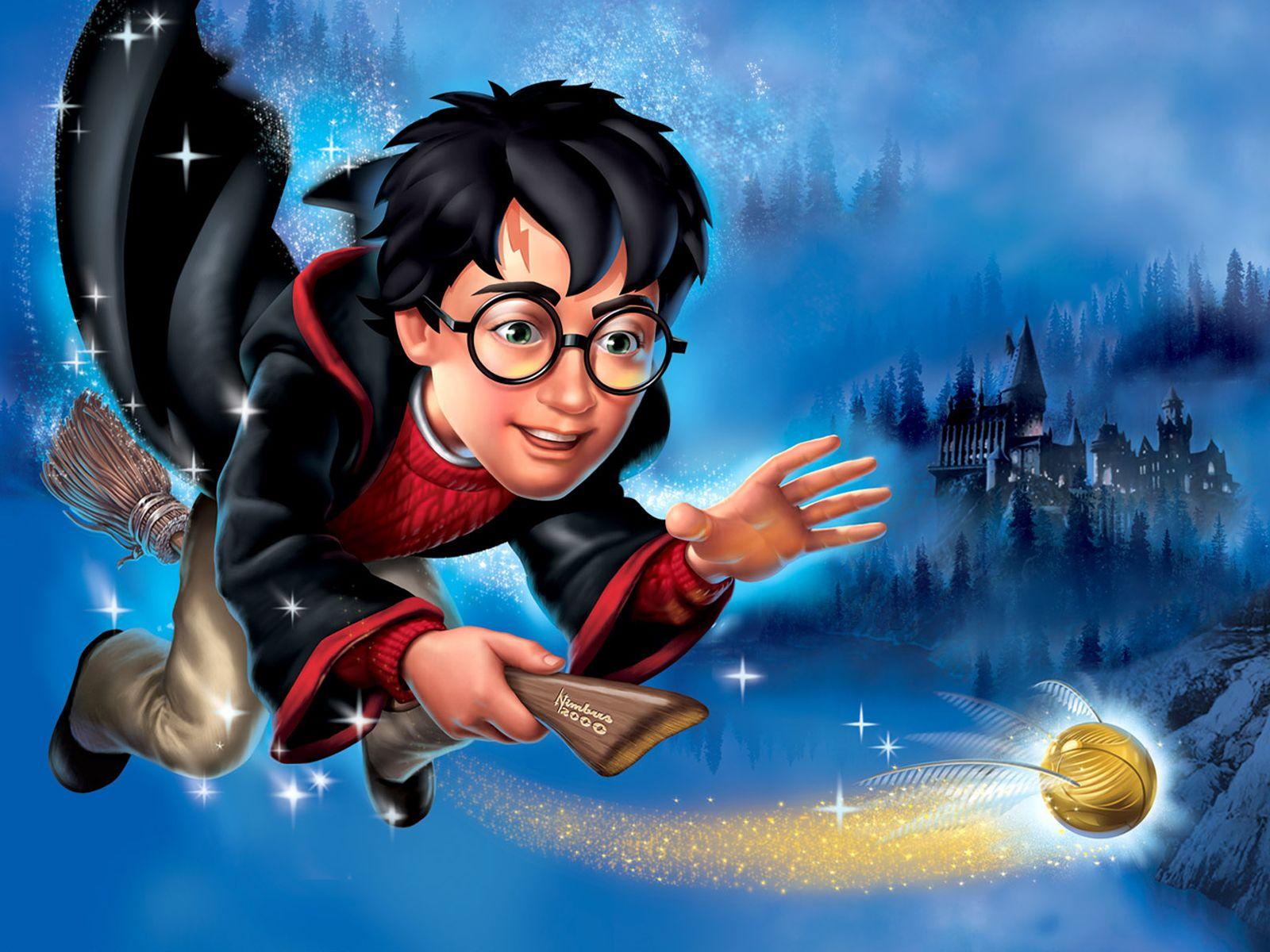 Harry Potter Quidditch Wallpapers - Top Free Harry Potter Quidditch ...