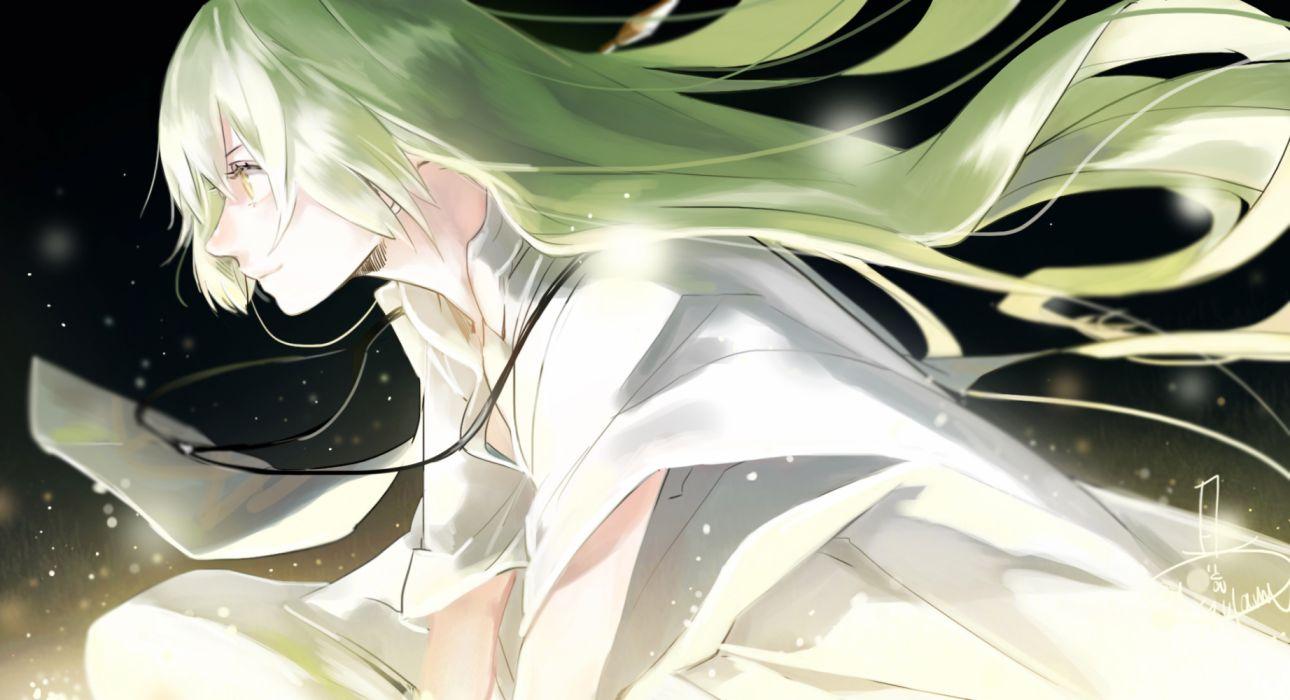 Enkidu Wallpapers - Top Free Enkidu Backgrounds - WallpaperAccess