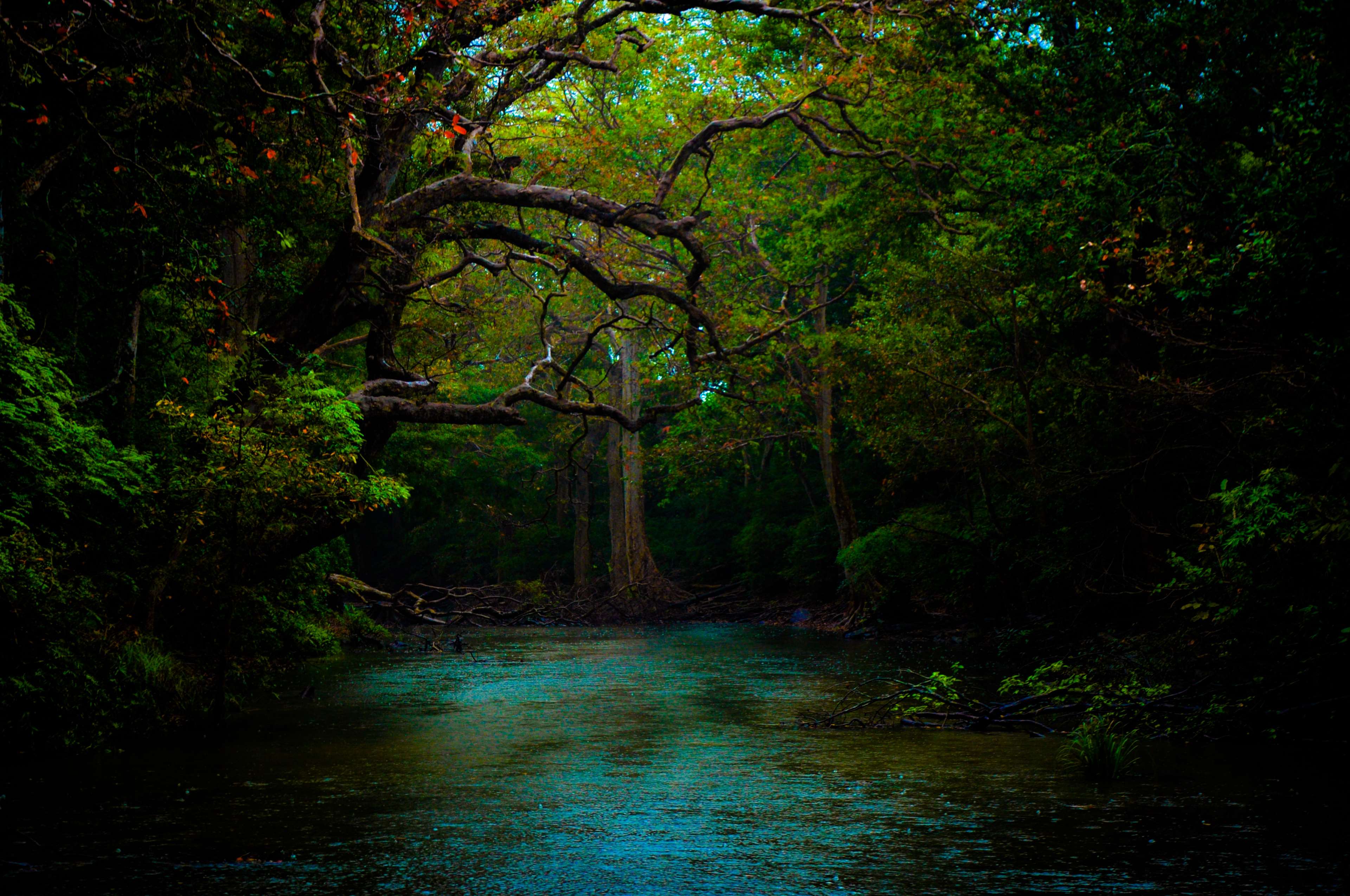 Dark Nature Samsung Wallpapers - Top Free Dark Nature Samsung ...