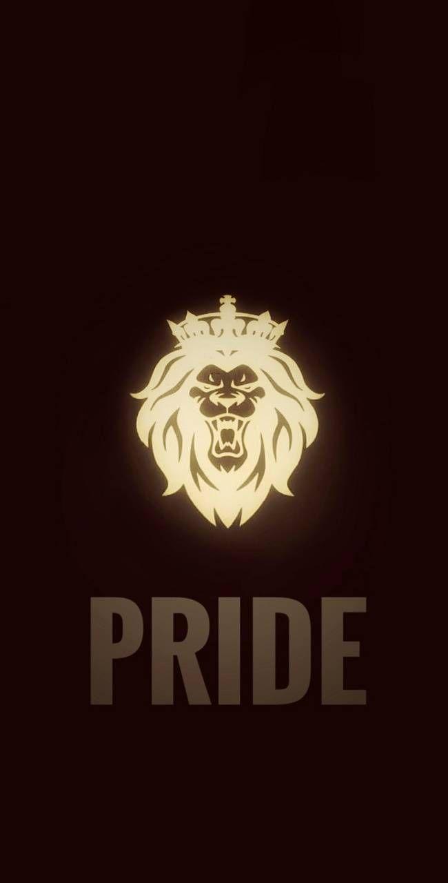 Lion Pride Wallpapers - Top Free Lion Pride Backgrounds - WallpaperAccess