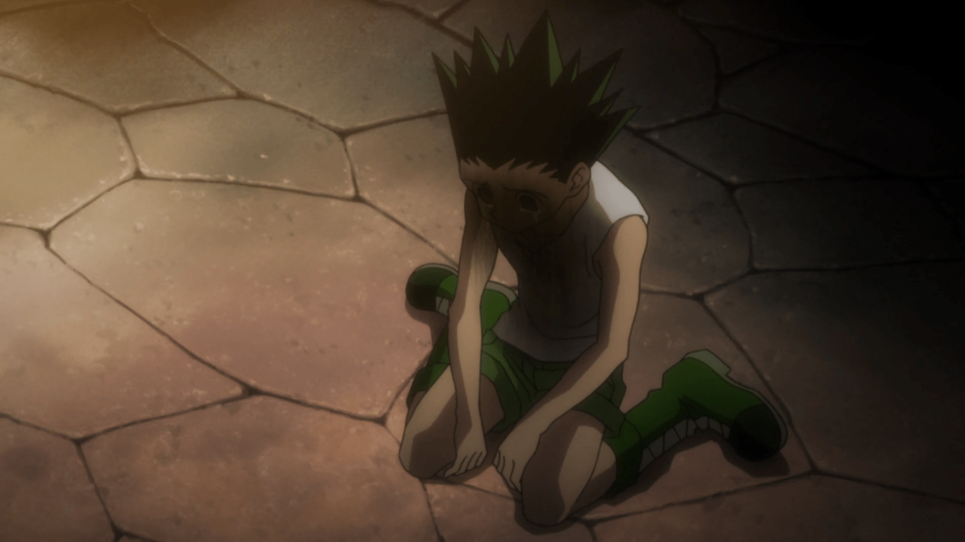 Adult Gon Wallpapers - Top Free Adult Gon Backgrounds - WallpaperAccess