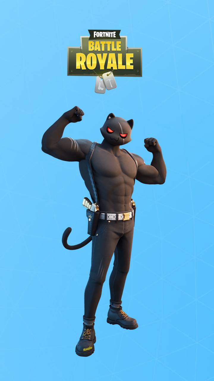 Meowcles Wallpapers - Top Free Meowcles Backgrounds - WallpaperAccess