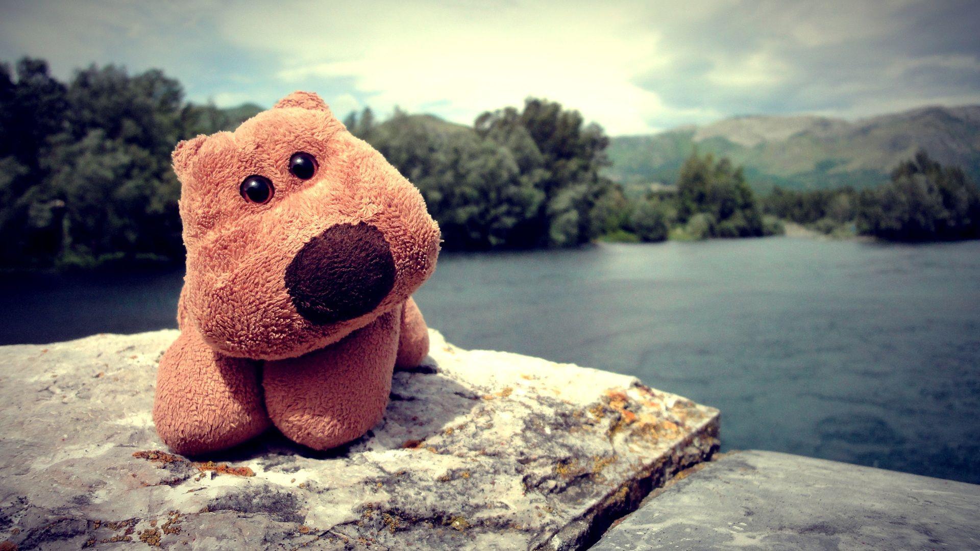 Stuffed Animals Wallpapers - Top Free Stuffed Animals Backgrounds ...