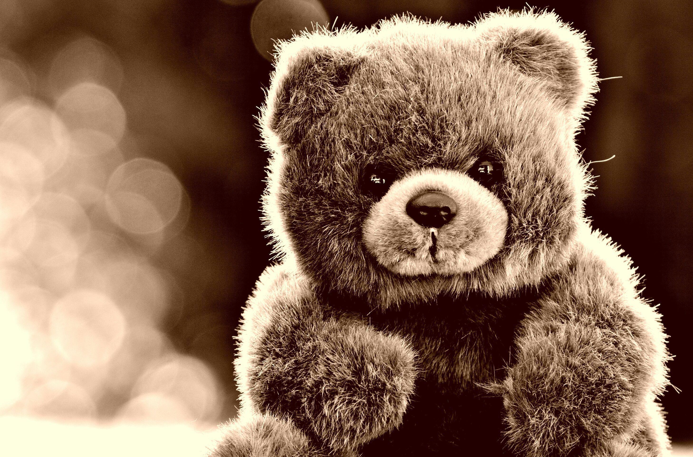 Stuffed Animals Wallpapers - Top Free Stuffed Animals Backgrounds ...