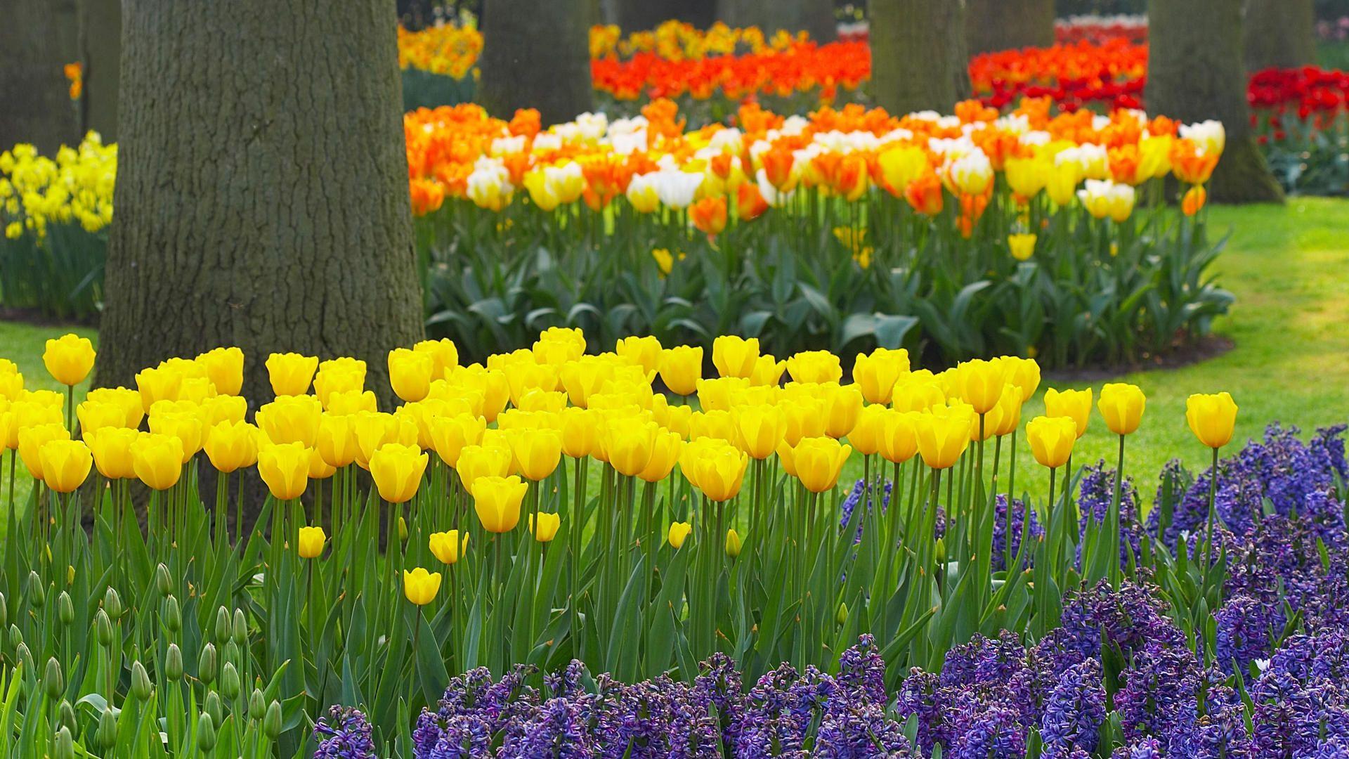 Europe Spring Wallpapers - Top Free Europe Spring Backgrounds ...