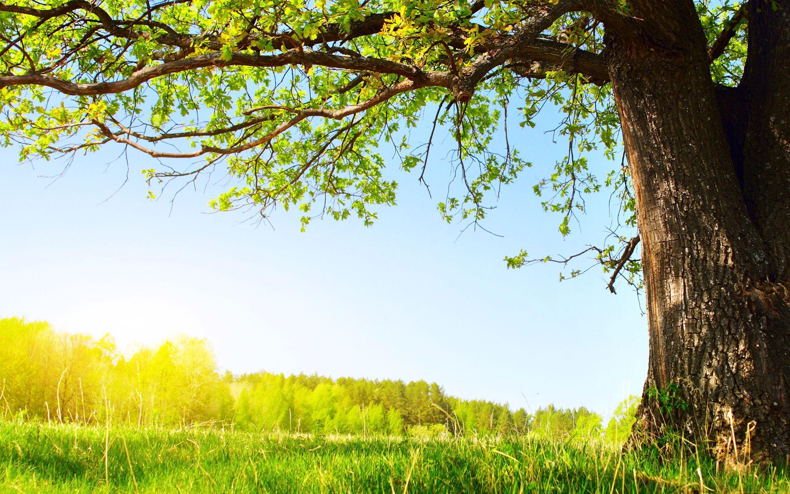 Have A Good Day Wallpapers - Top Free Have A Good Day Backgrounds ...