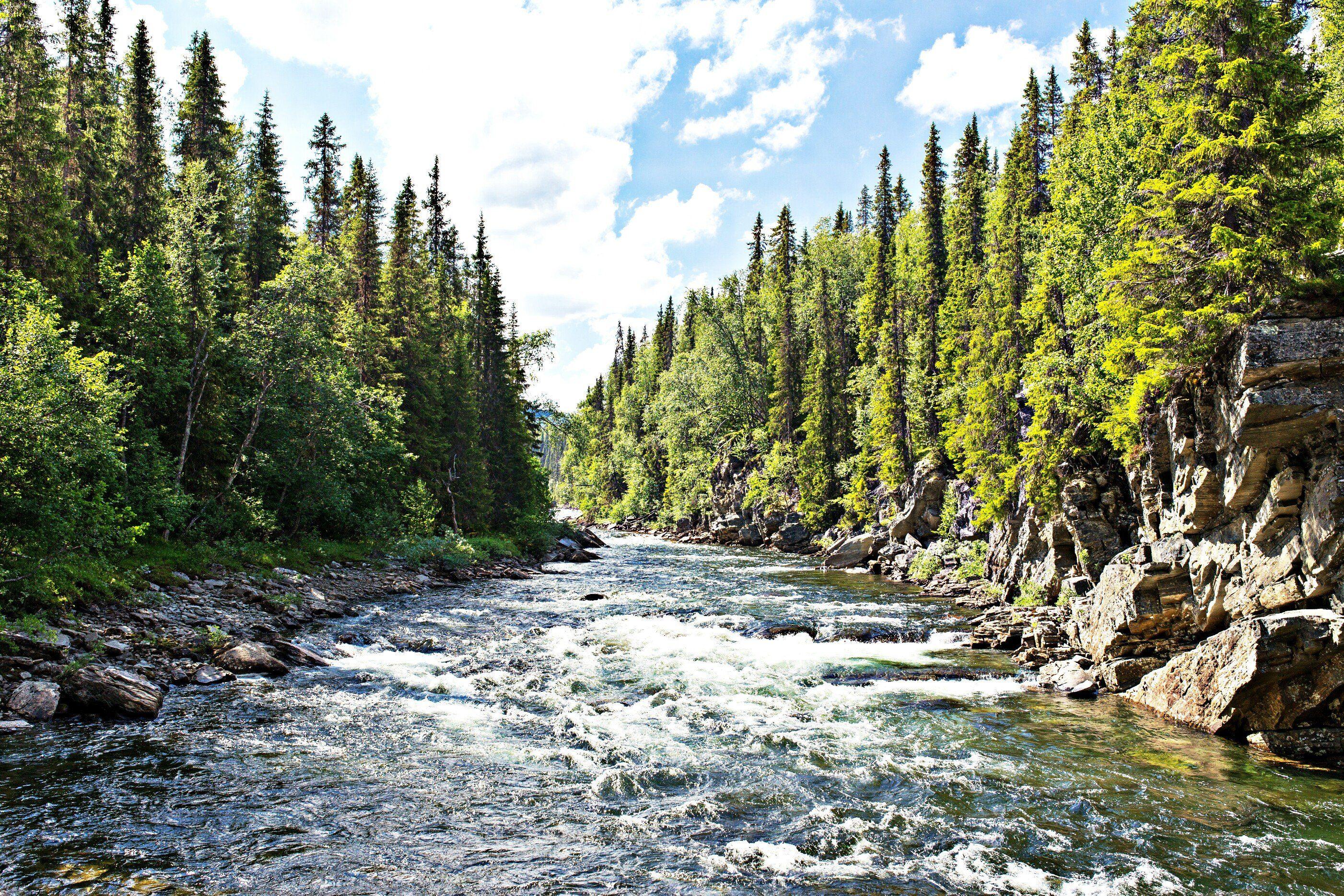 Swedish Nature Wallpapers - Top Free Swedish Nature Backgrounds ...