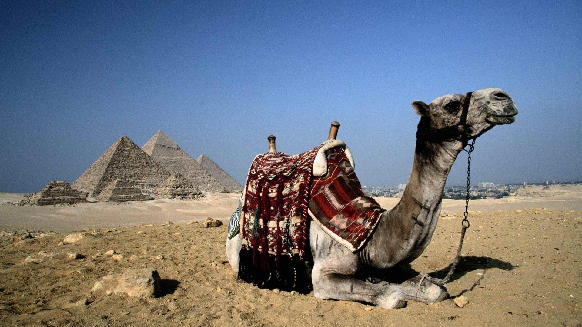 1920X1080 HD Egyptian Wallpapers - Top Free 1920X1080 HD Egyptian ...