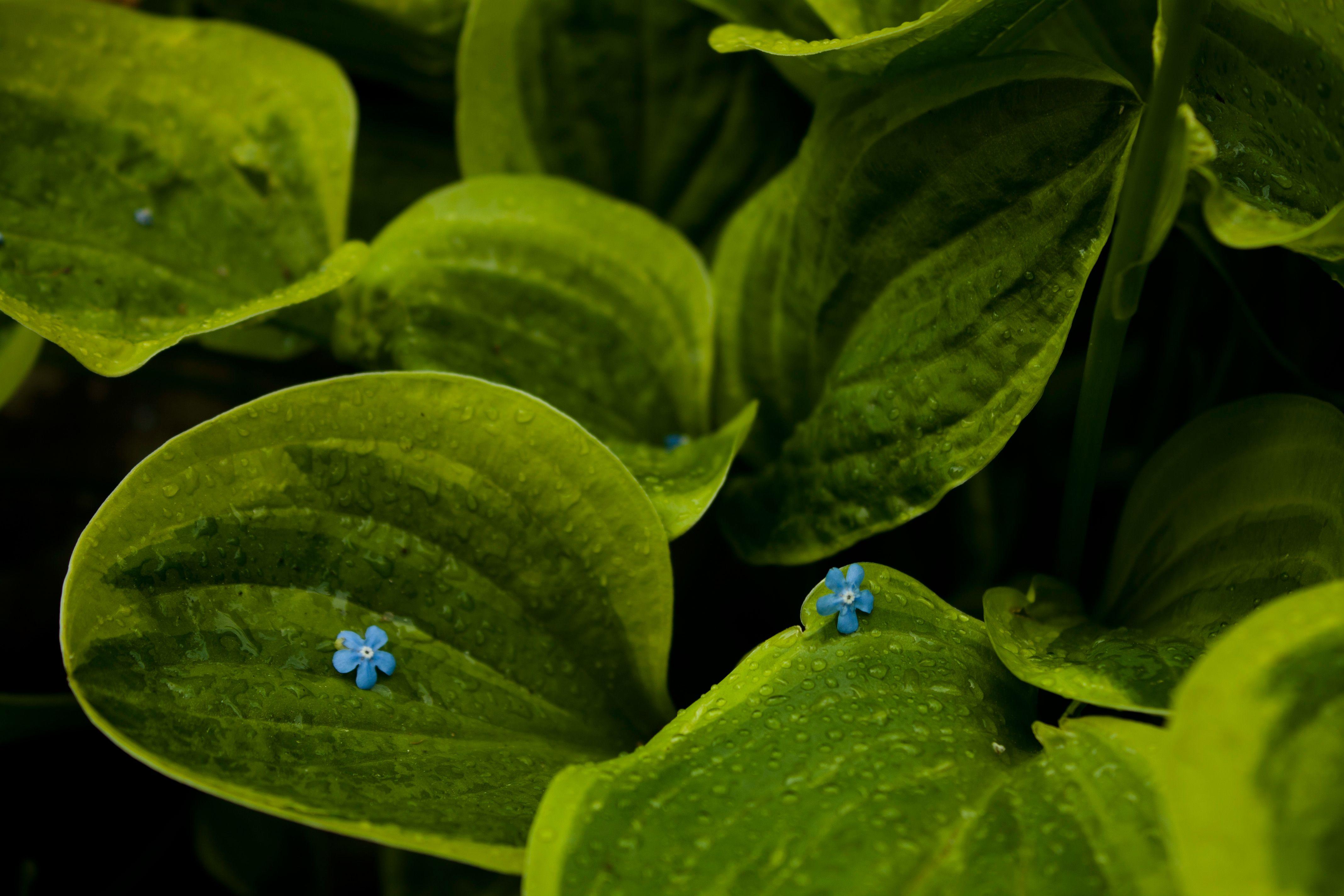 Photography High Resolution Wallpapers - Top Free Photography High ...