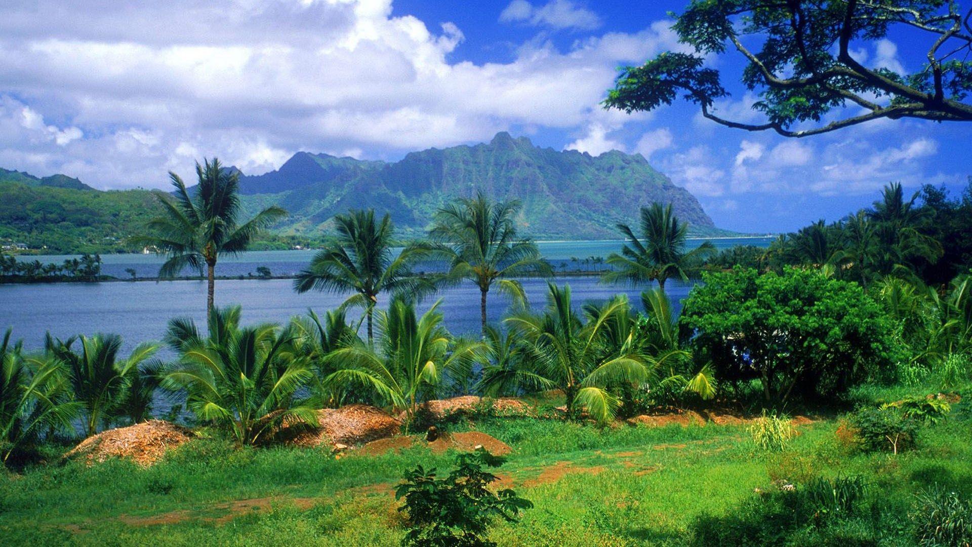 Hawaii Mountain Wallpapers - Top Những Hình Ảnh Đẹp