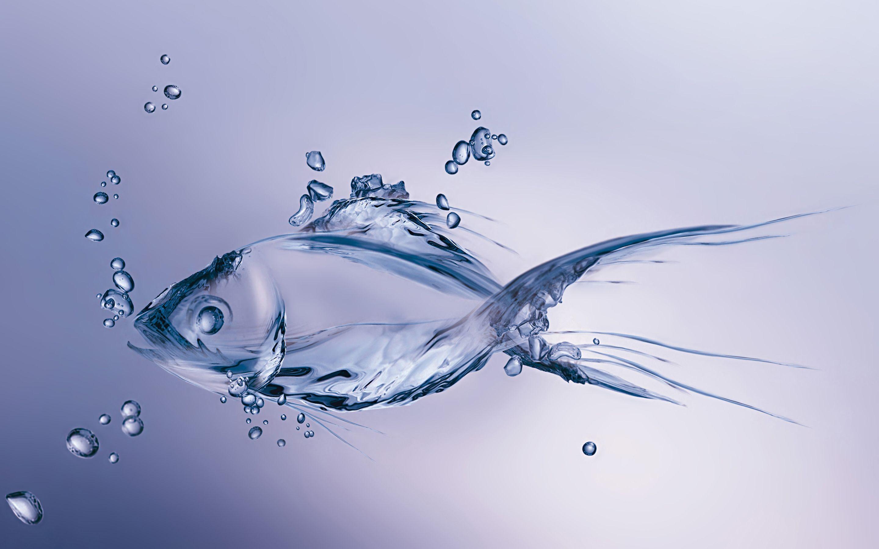 Half Water Wallpapers - Top Free Half Water Backgrounds - WallpaperAccess