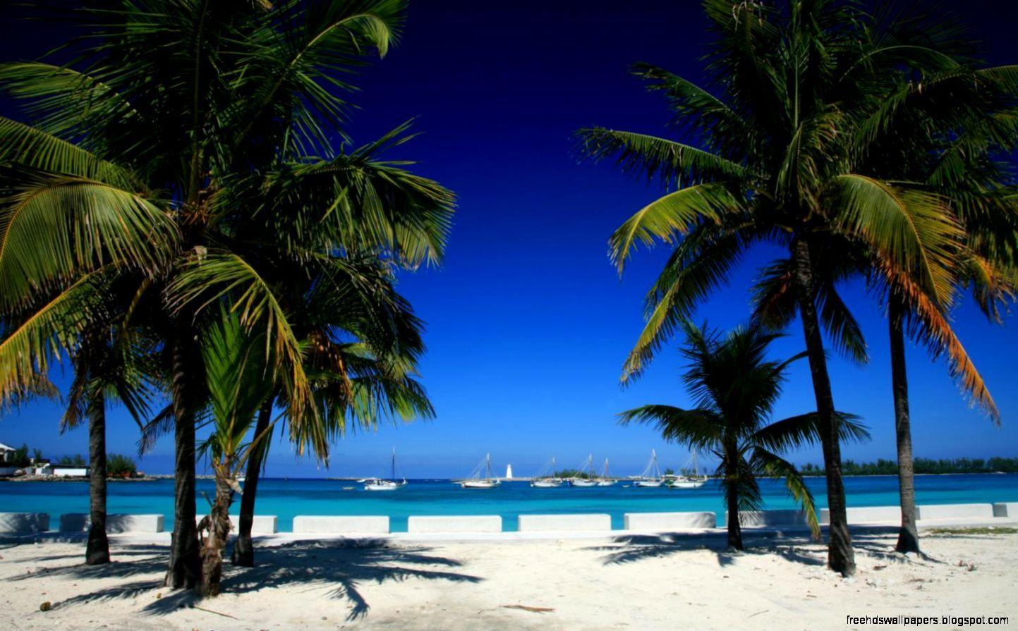 Bahamas Beach Wallpapers - Top Free Bahamas Beach Backgrounds ...