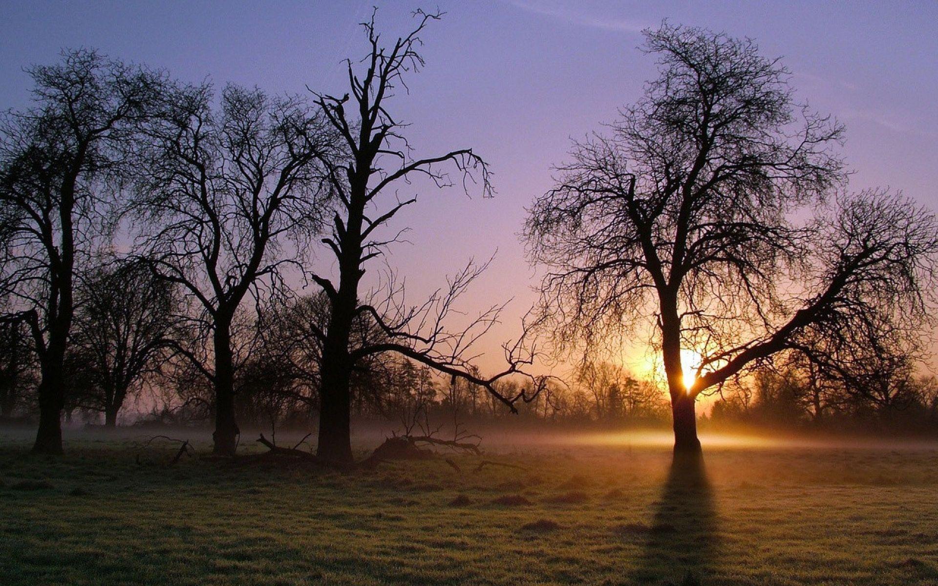 Sunray Wallpapers - Top Free Sunray Backgrounds - WallpaperAccess